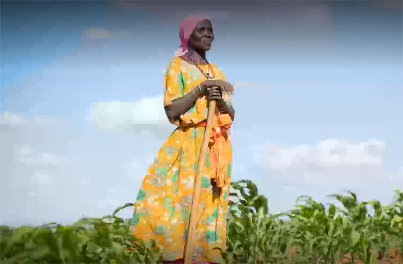 Kenyan Farmers share how Concern's LEAF Project has impacted their ...