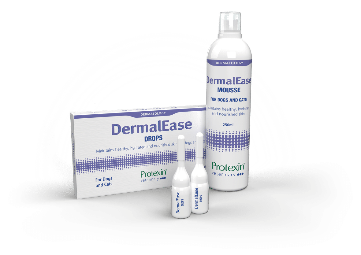 ADM Earns Pet Innovation Award for Cat Skin & Coat Care Product of the ...