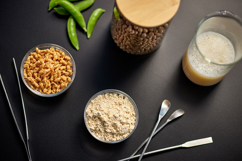 Propel Protein Diversity with Blends and Authentic Savory Flavors | ADM