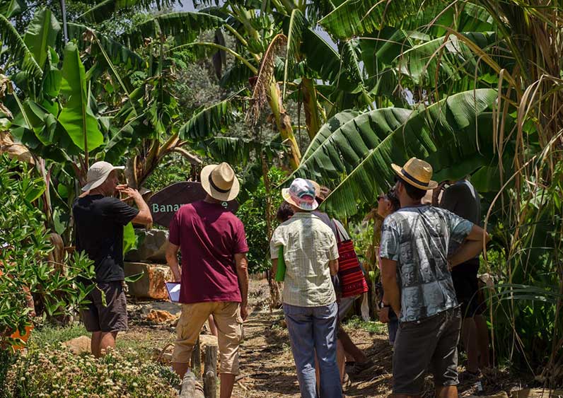 ADM Partners with Restor to Measure and Consolidate Its Contribution to ...