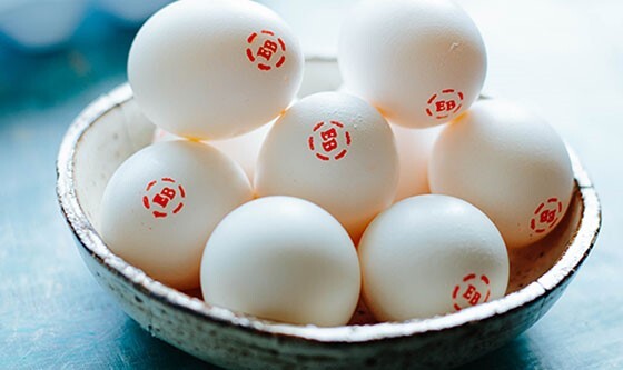 How ADM Animal Nutrition is Helping put the Best in Eggland’s Best Eggs ...