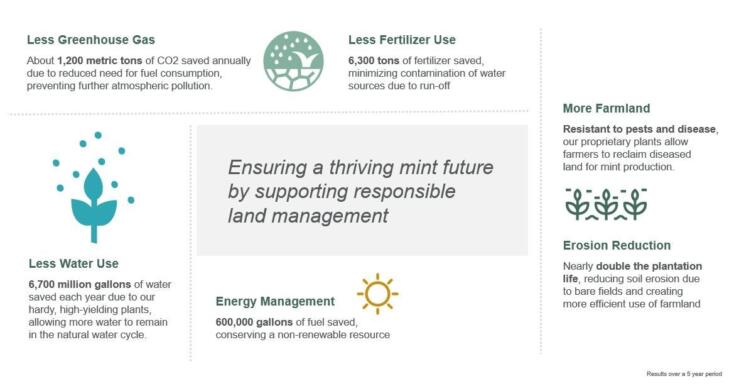 Driving Sustainable Mint Innovation from the Ground Up | ADM
