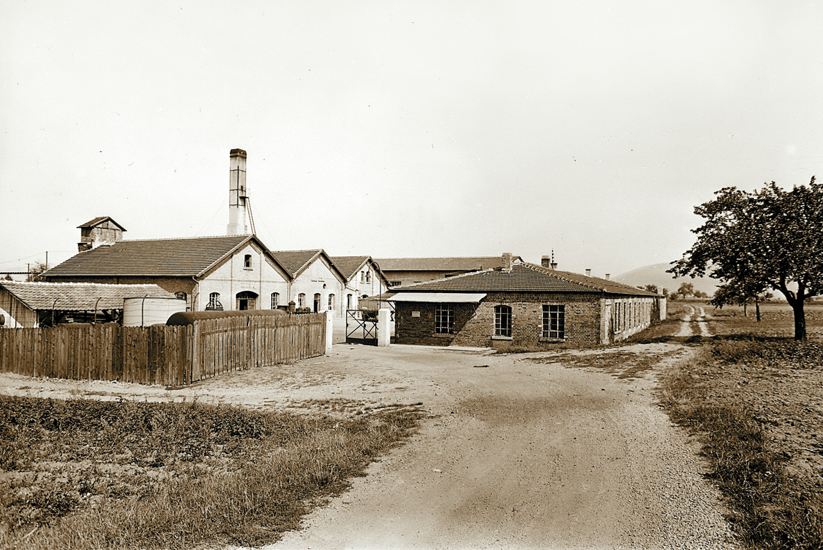 ADM WILD Europe GmbH & Co. KG | ADM